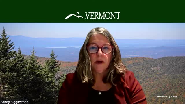 CitizenPortal.ai - Vermont DFR seeks improved website for transparent ...