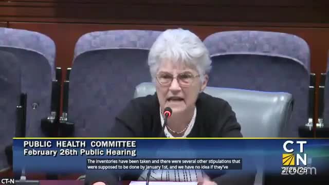 CitizenPortal.ai - Mary Anne Langton urges Connecticut committee to ...