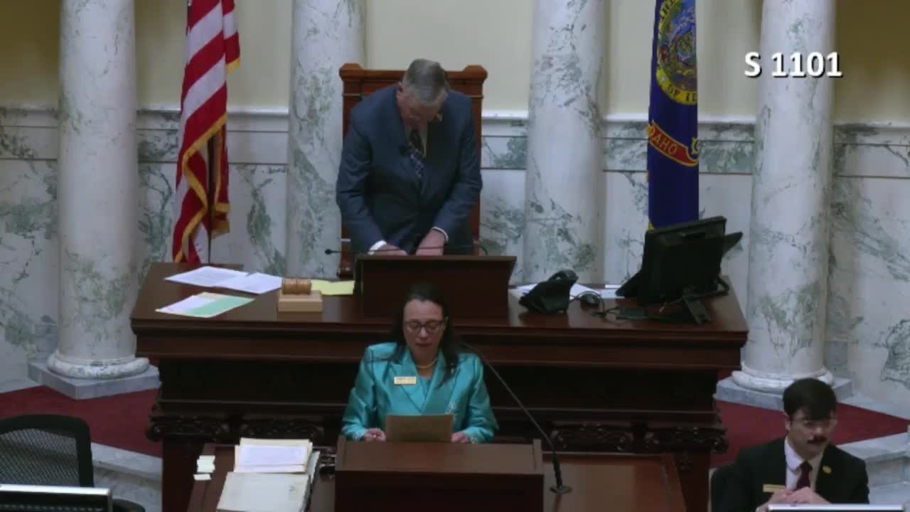 CitizenPortal.ai - Senate debates final version of SB 1101 to reform ...