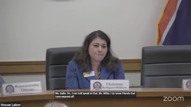 CitizenPortal.ai - Committee discusses alternatives to psychiatric ...