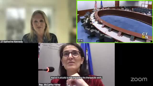 CitizenPortal.ai - Senator Summers questions insurers on delays ...