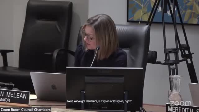 CitizenPortal.ai - Boise Airport launches Sunflower program for hidden ...