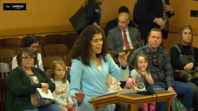 CitizenPortal.ai - Board of Indigent Defense Services asks Ways and ...