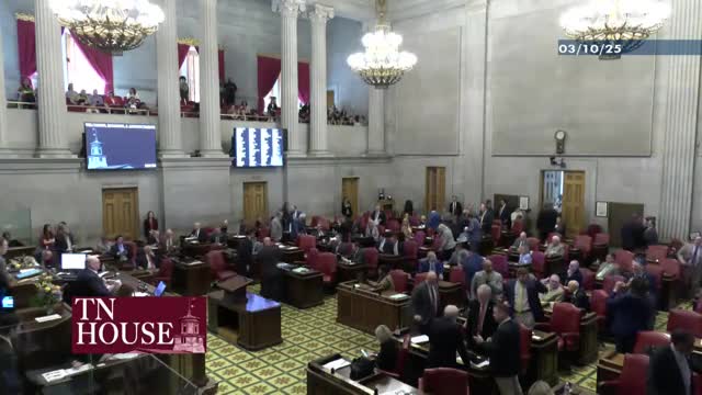 CitizenPortal.ai - Tennessee House Members Celebrate Youth Groups and ...