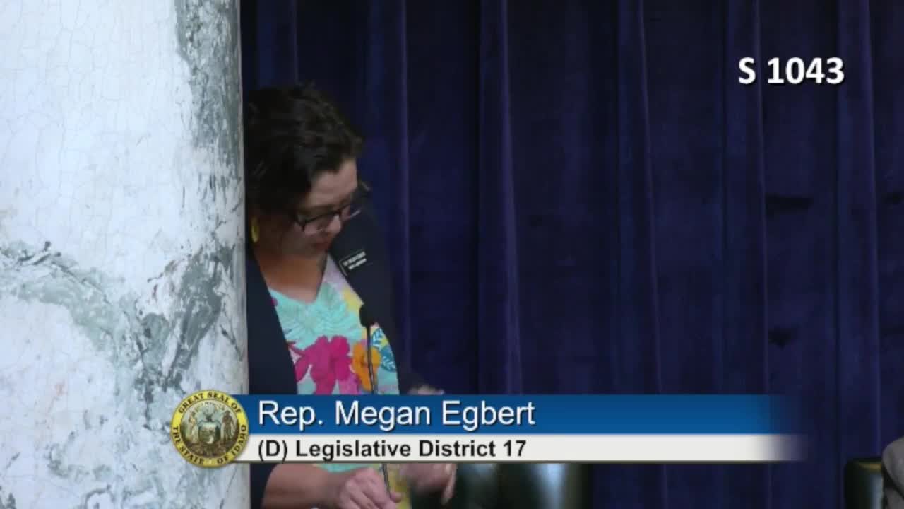 CitizenPortal.ai - Idaho code debate prompts call for vote from speaker