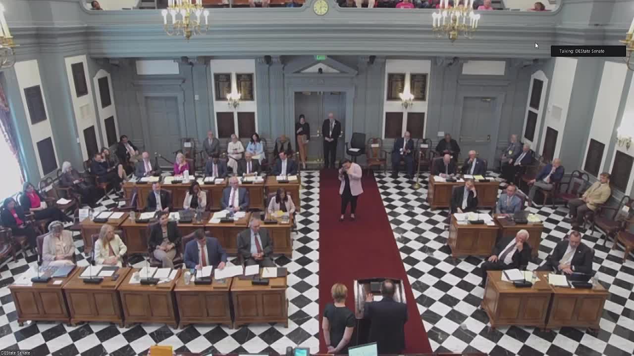 CitizenPortal.ai - Senate approves constitutional amendment to enshrine ...