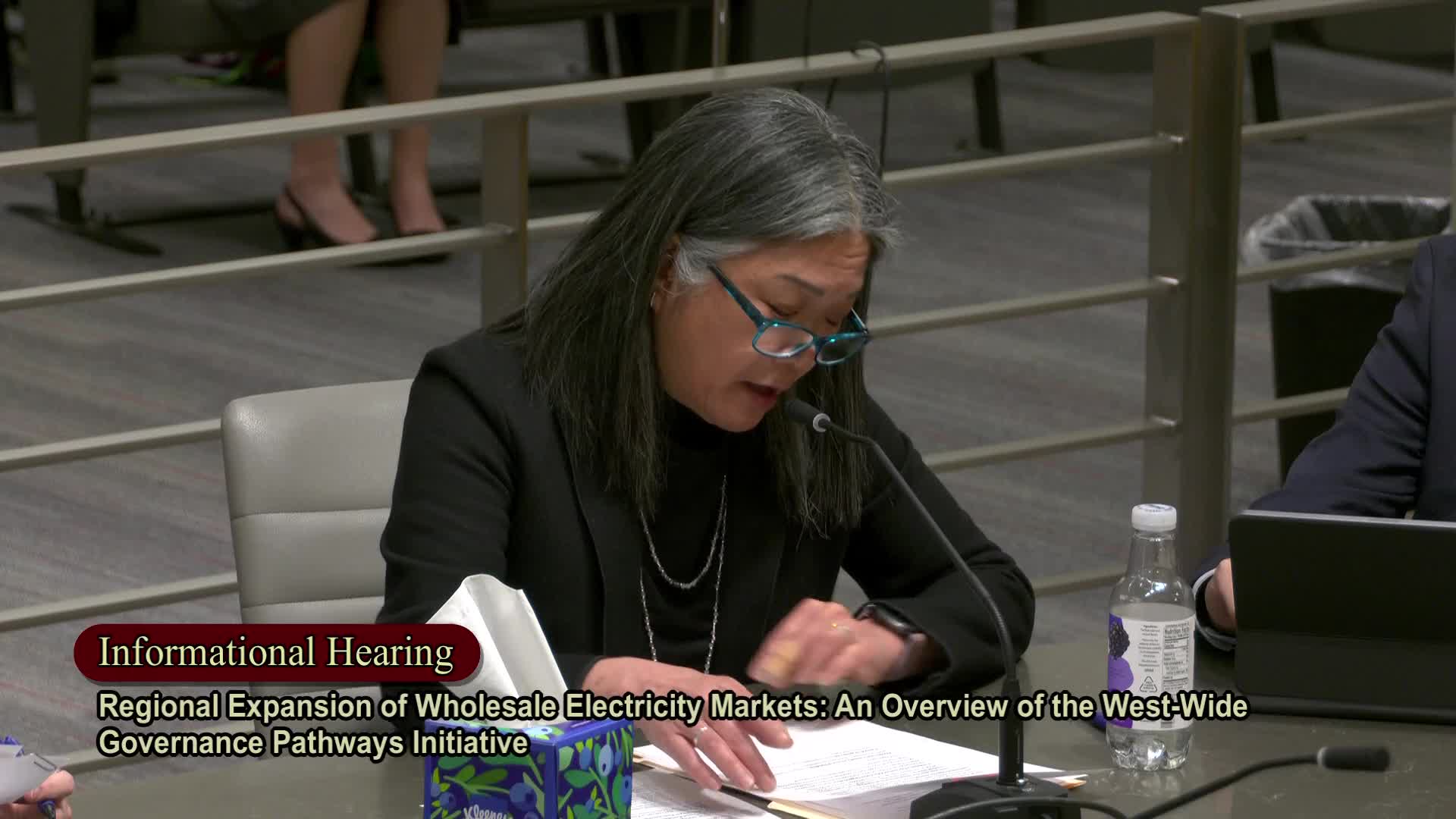 CitizenPortal.ai - Jennifer Tanner criticizes Pathways initiative at ...