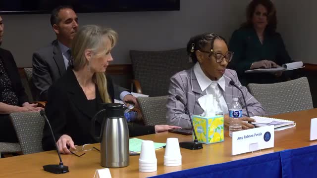 CitizenPortal.ai - Demaria Monday and Amy Rolfson Povah testify on ...