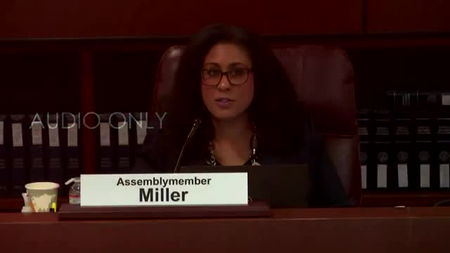 CitizenPortal.ai - Assemblyman Ken Gray addresses child protection penalties at Carson City hearing
