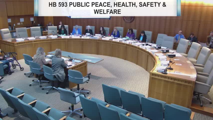 CitizenPortal.ai - New Mexico legislators propose HB 593 to combat ...