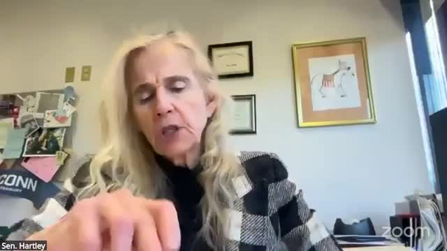 CitizenPortal.ai - Council confirms Devon Ward and Howard Zabronski for ...