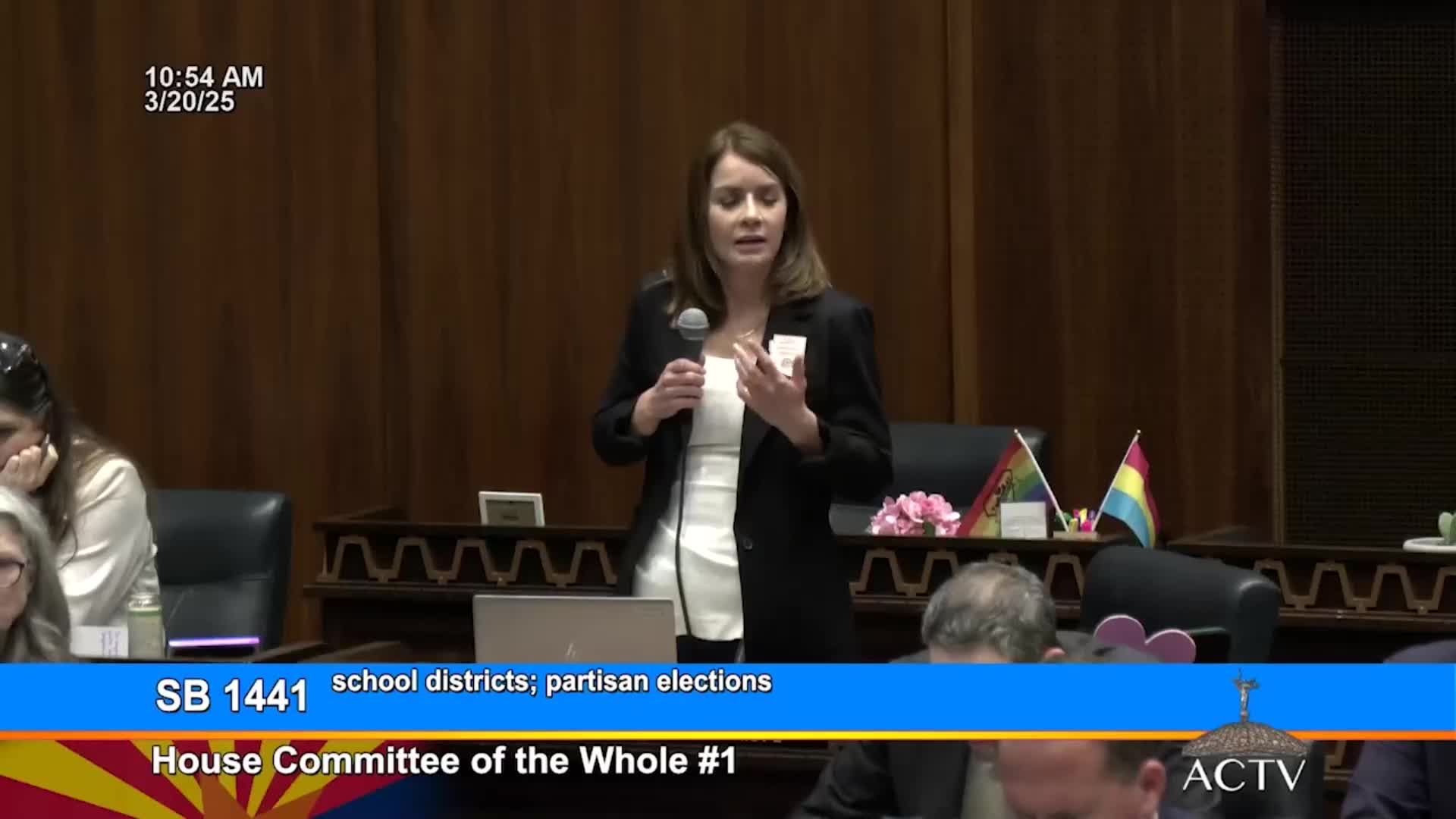 CitizenPortal.ai - Representative Simichek advocates for nonpartisan ...