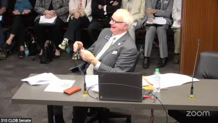 CitizenPortal.ai - Georgia Senate committee discusses voting system ...