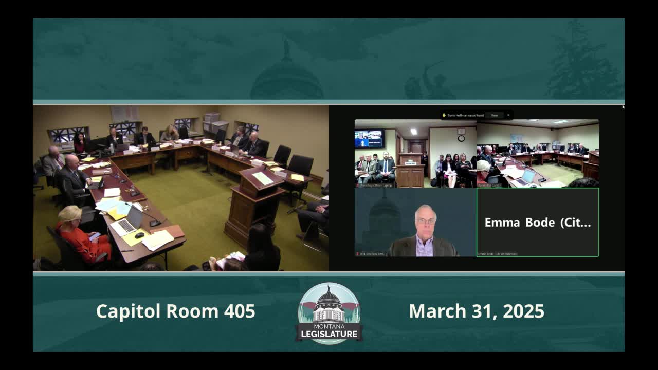 CitizenPortal.ai - Travis Hoffman urges committee to vote against ...