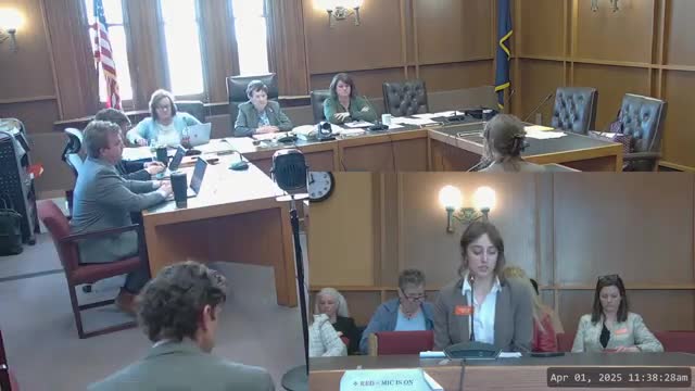 CitizenPortal.ai - Opponents criticize New Hampshire's House Bill 10 ...