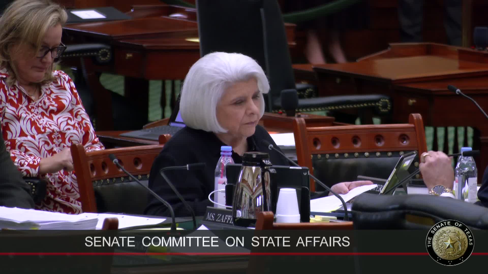 CitizenPortal.ai - Texas Senate reviews bill on doctors' speech rights ...