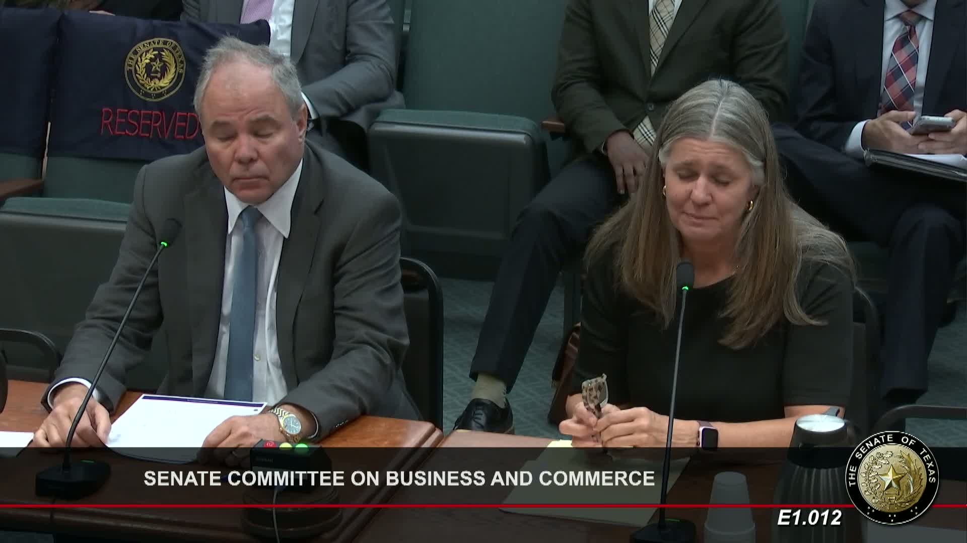 CitizenPortal.ai - John Elder advocates for utility scale microgrids at ...