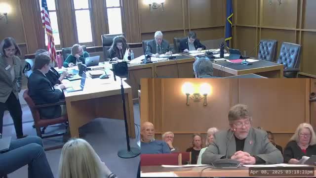 CitizenPortal.ai - New Hampshire Senate considers bill restricting driver's licenses for asylum ...