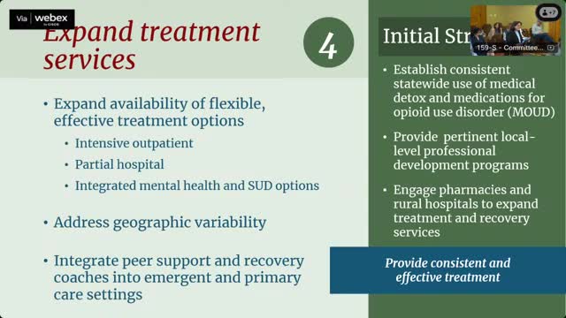 CitizenPortal.ai - Zilke advocates for expanded substance use support ...