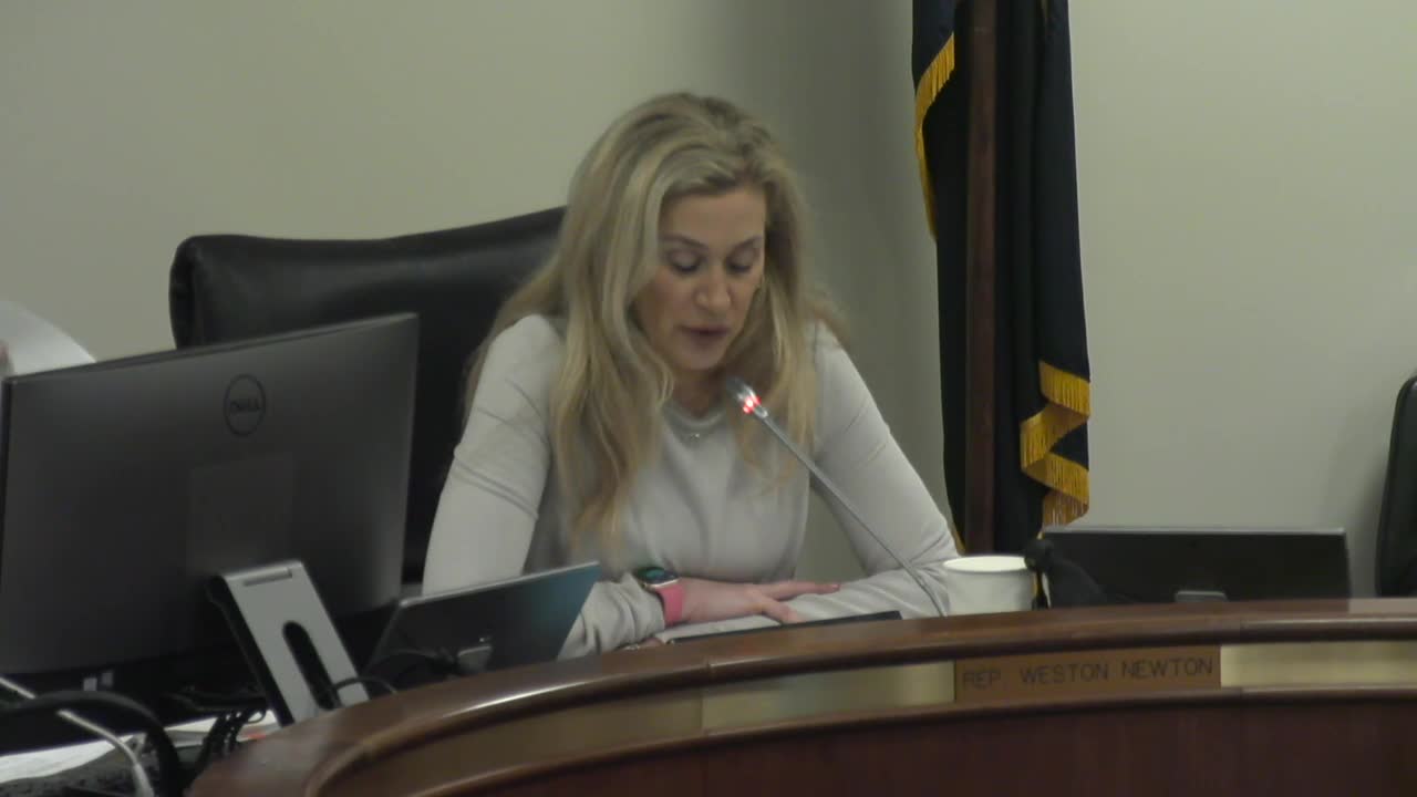 CitizenPortal.ai - Proposed bill restricts lay guardian ad litem ...