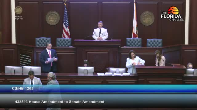 CitizenPortal.ai - Florida Legislature debates controversial amendment ...
