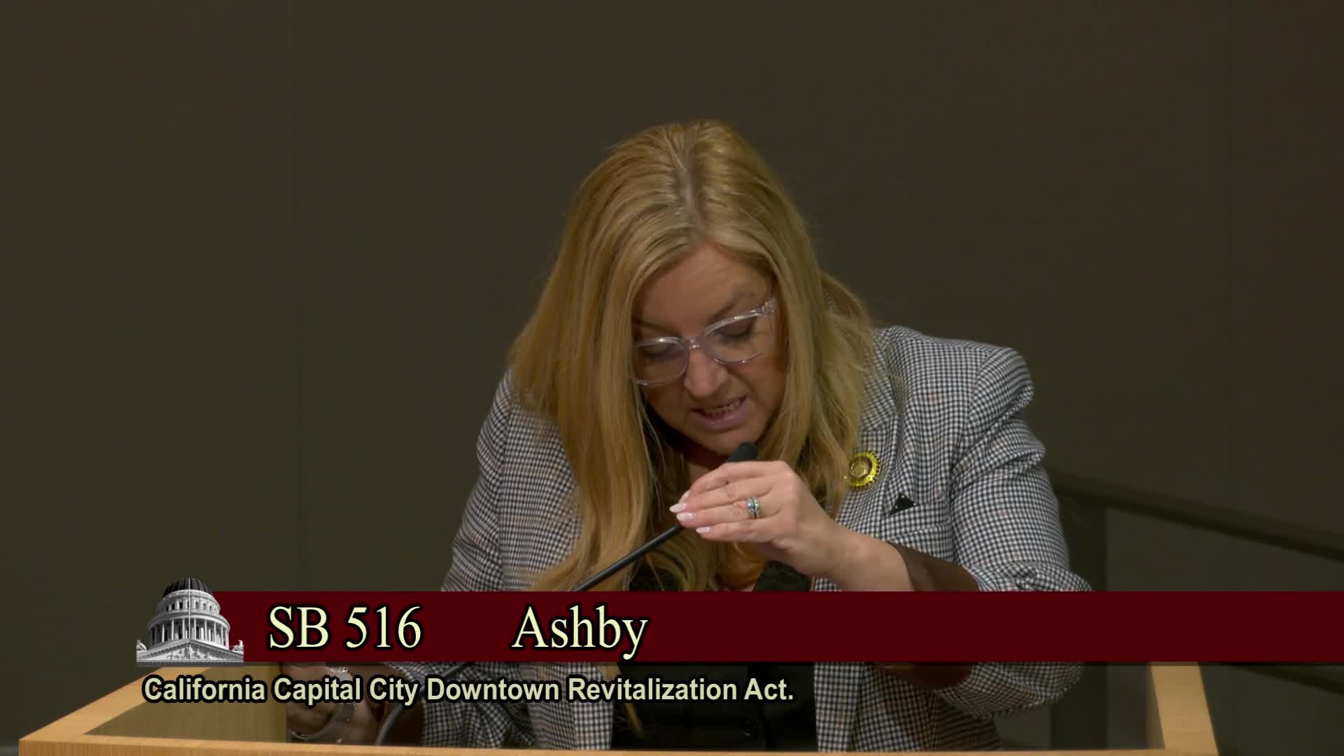 CitizenPortal.ai - Senator Wiener advocates SB 516 to boost Sacramento ...