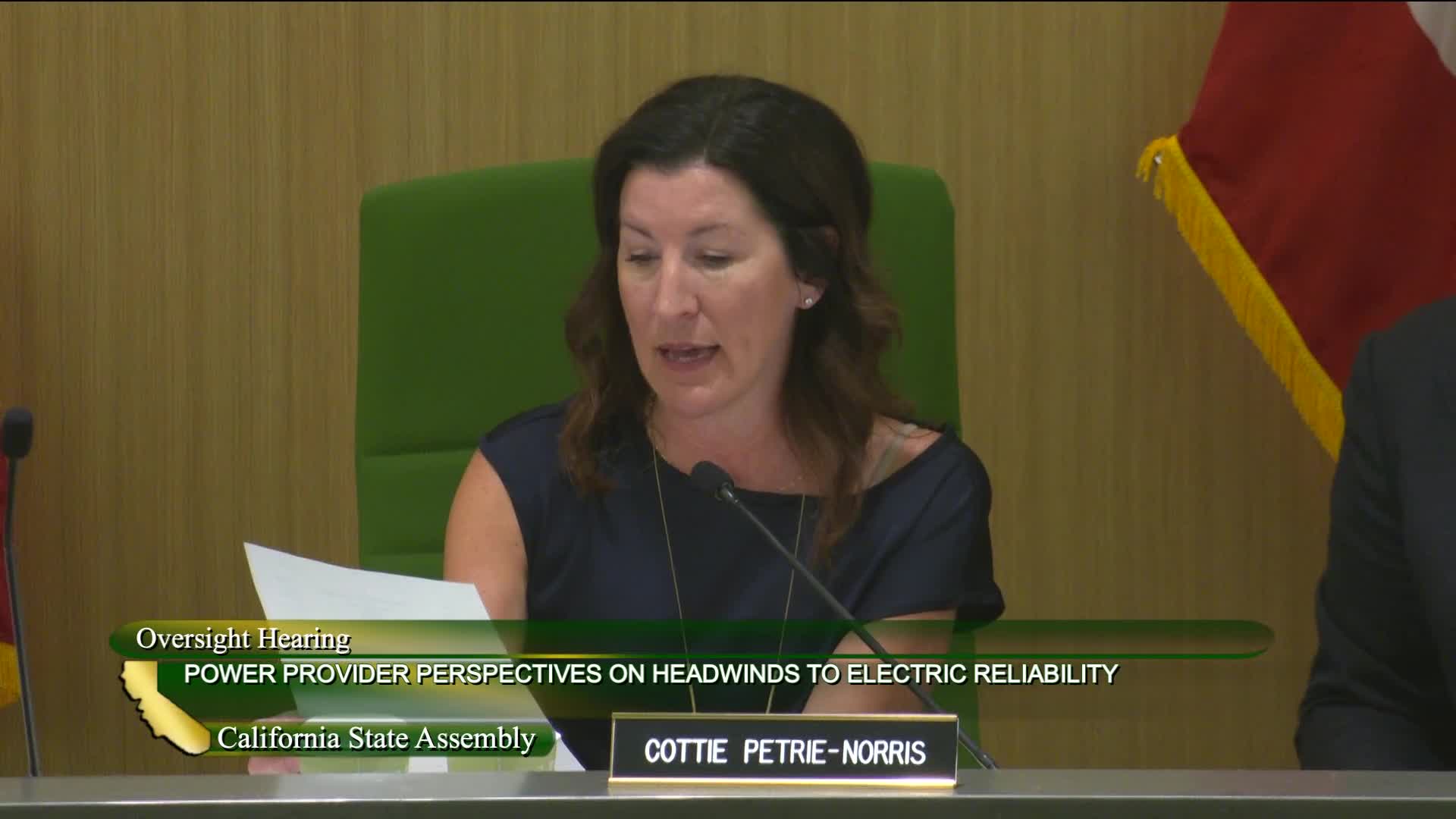 CitizenPortal.ai - PG&E's Jillian Clegg discusses electric reliability ...