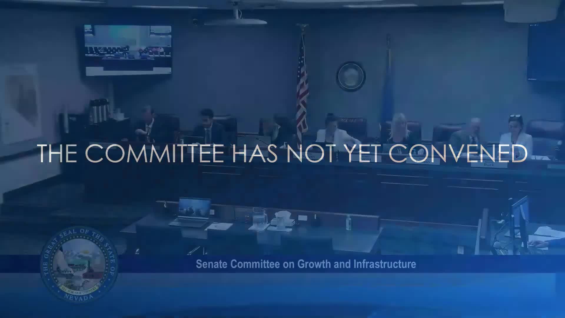 CitizenPortal.ai - Senate committee reviews five bills including energy ...