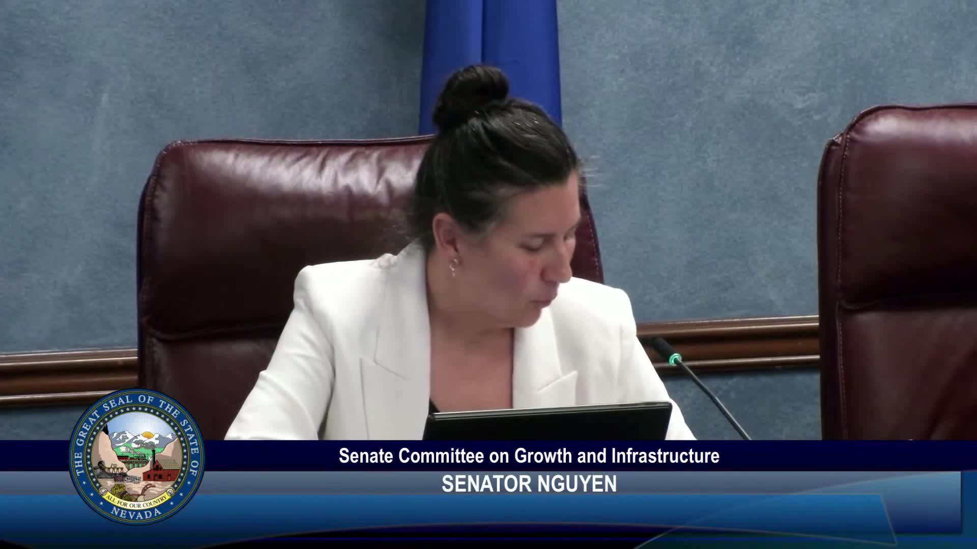 CitizenPortal.ai - Nevada Public Utilities Commission considers AB 452 ...