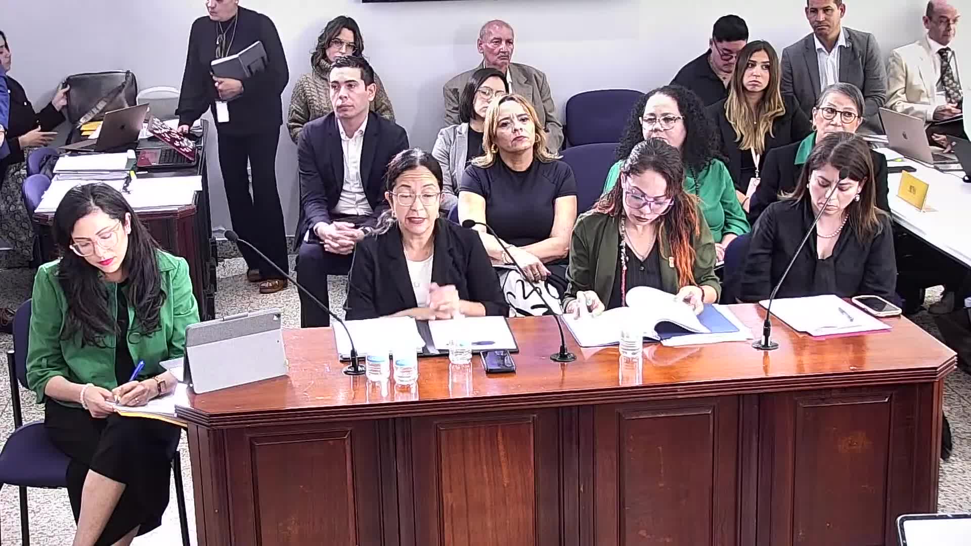 CitizenPortal.ai - Puerto Rico activists address abortion as response ...