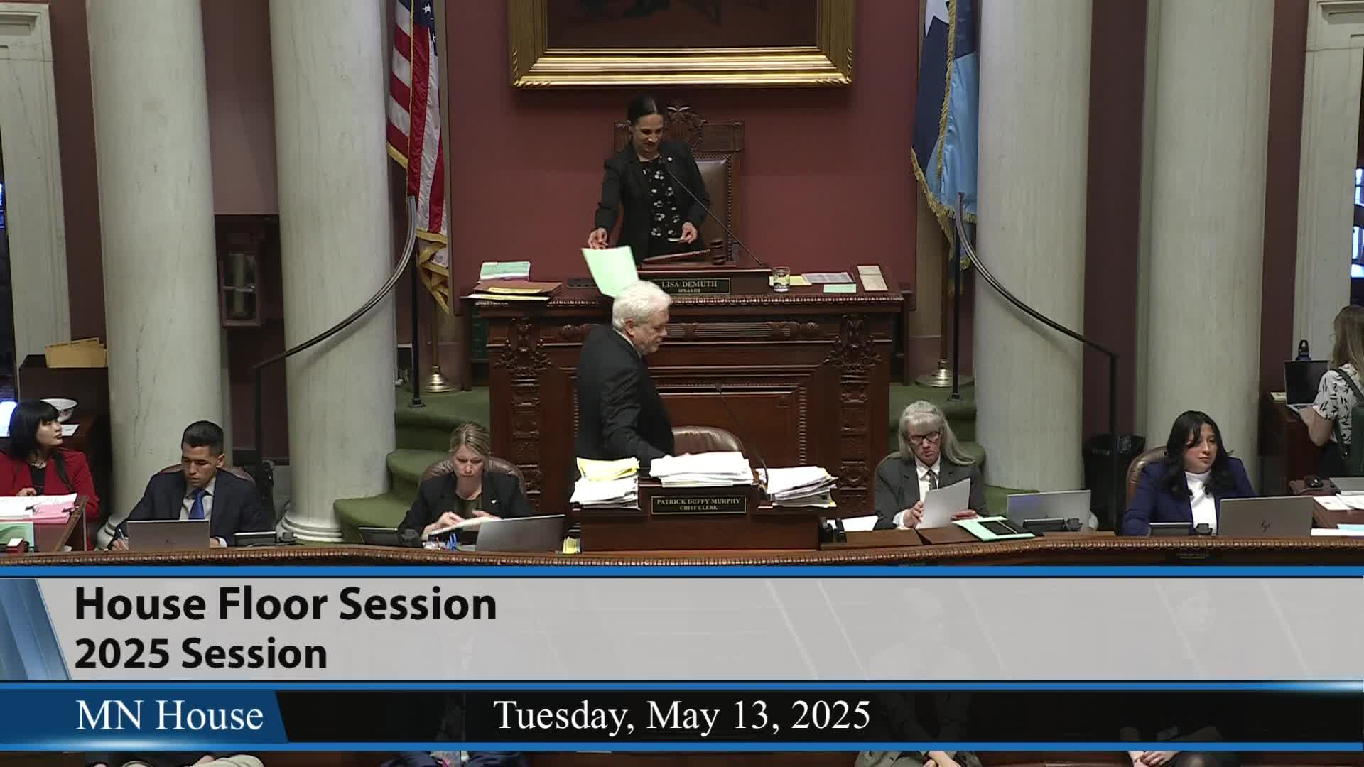 CitizenPortal.ai - Minnesota House approves resolution to replace Henry ...