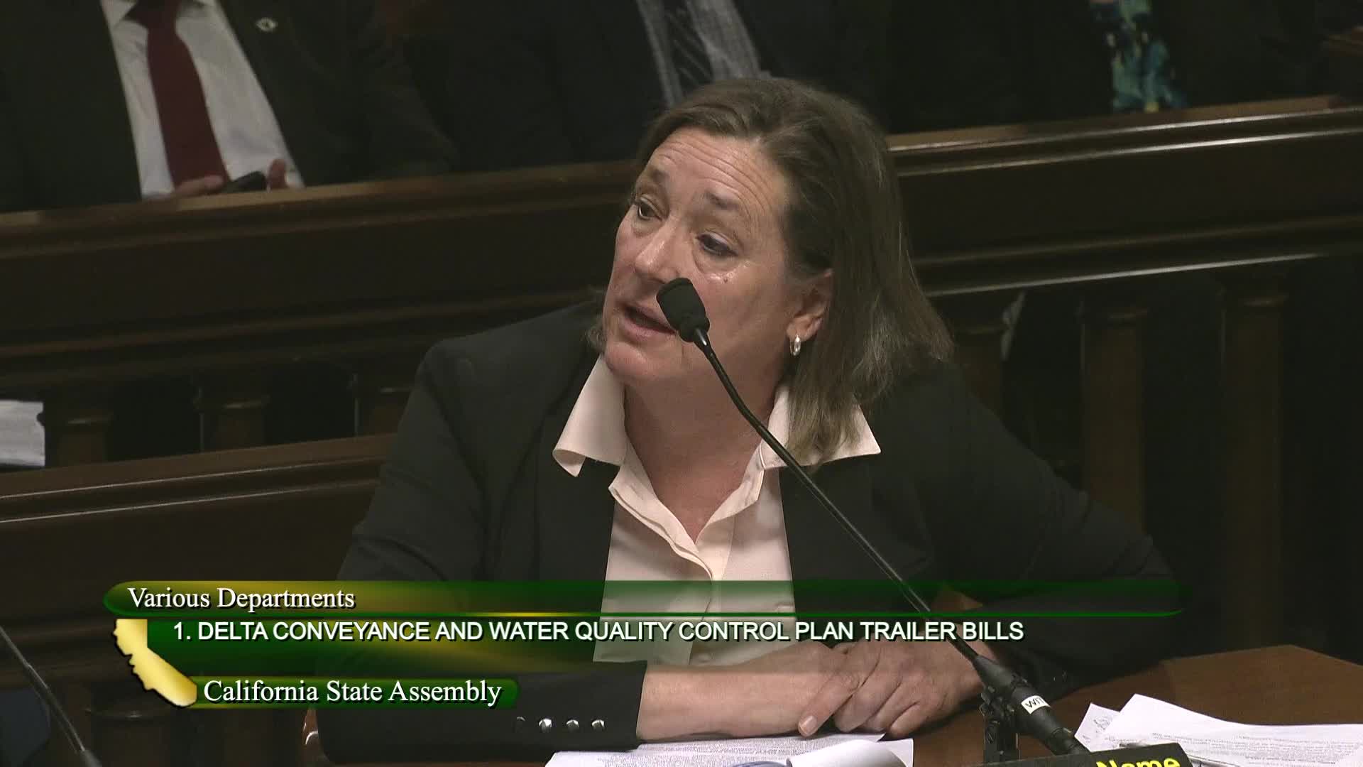 CitizenPortal.ai - Assembly debates $20B flood control project cost and ...