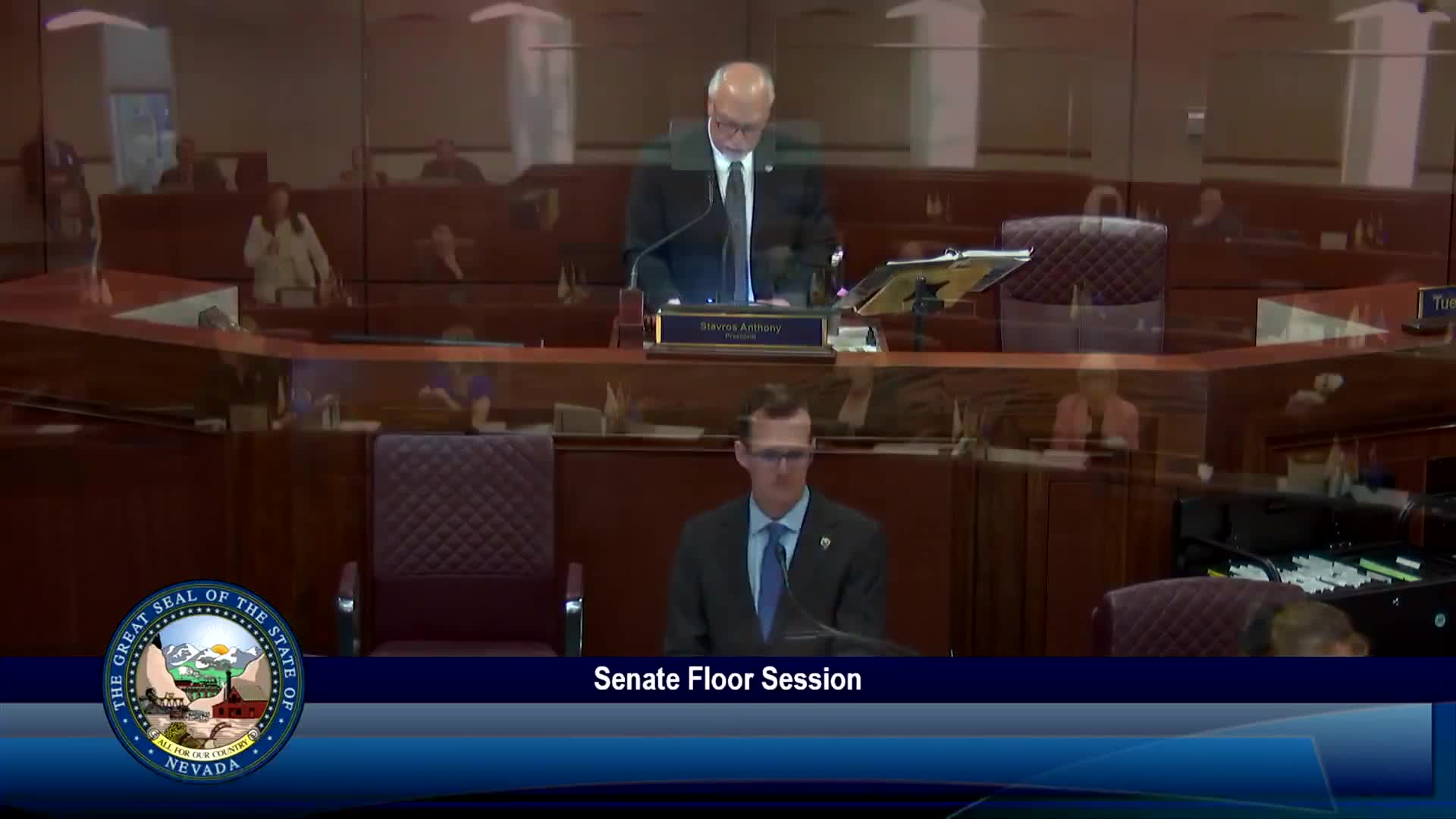 CitizenPortal.ai - Senate approves bill to create bachelor s-level ...