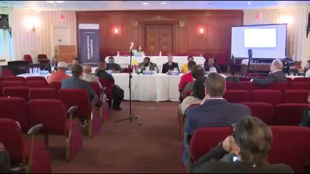 CitizenPortal.ai - State Representatives Harris and Cephas discuss ...