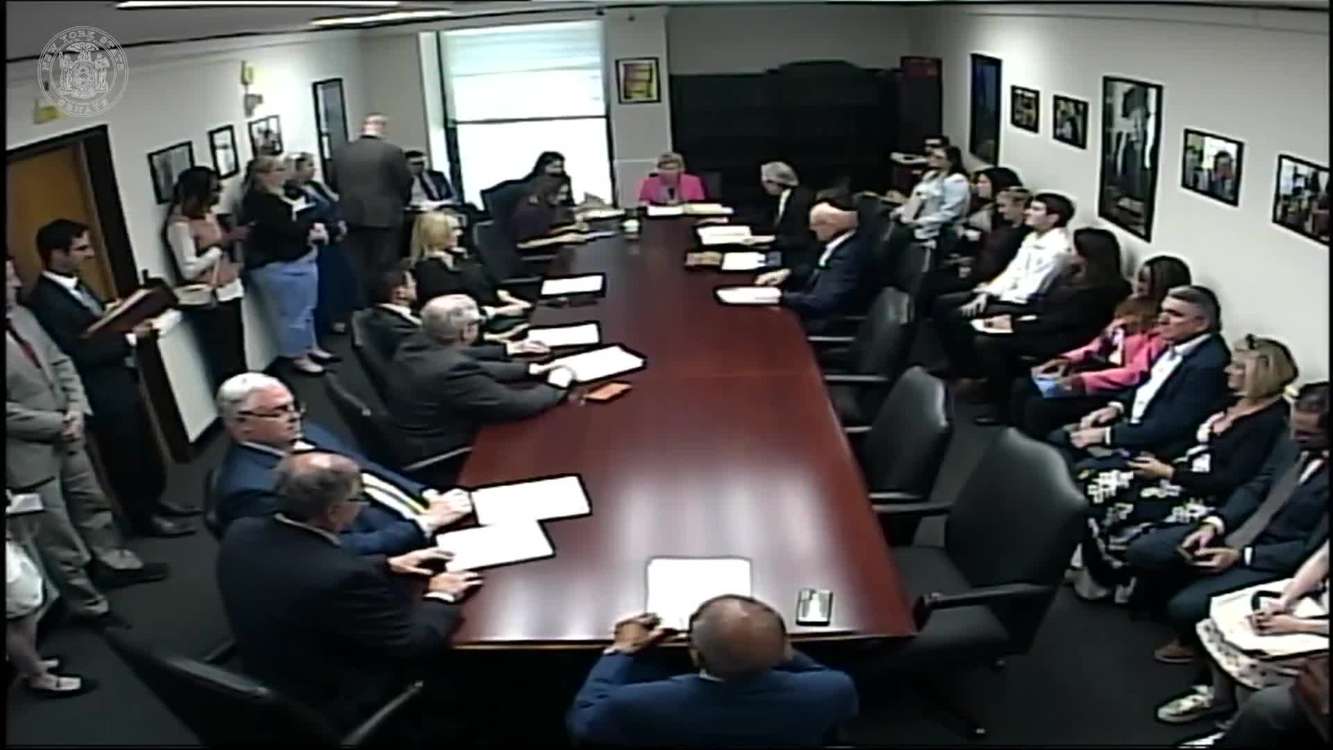 CitizenPortal.ai - Senator Sutton joins committee addressing Rochester ...