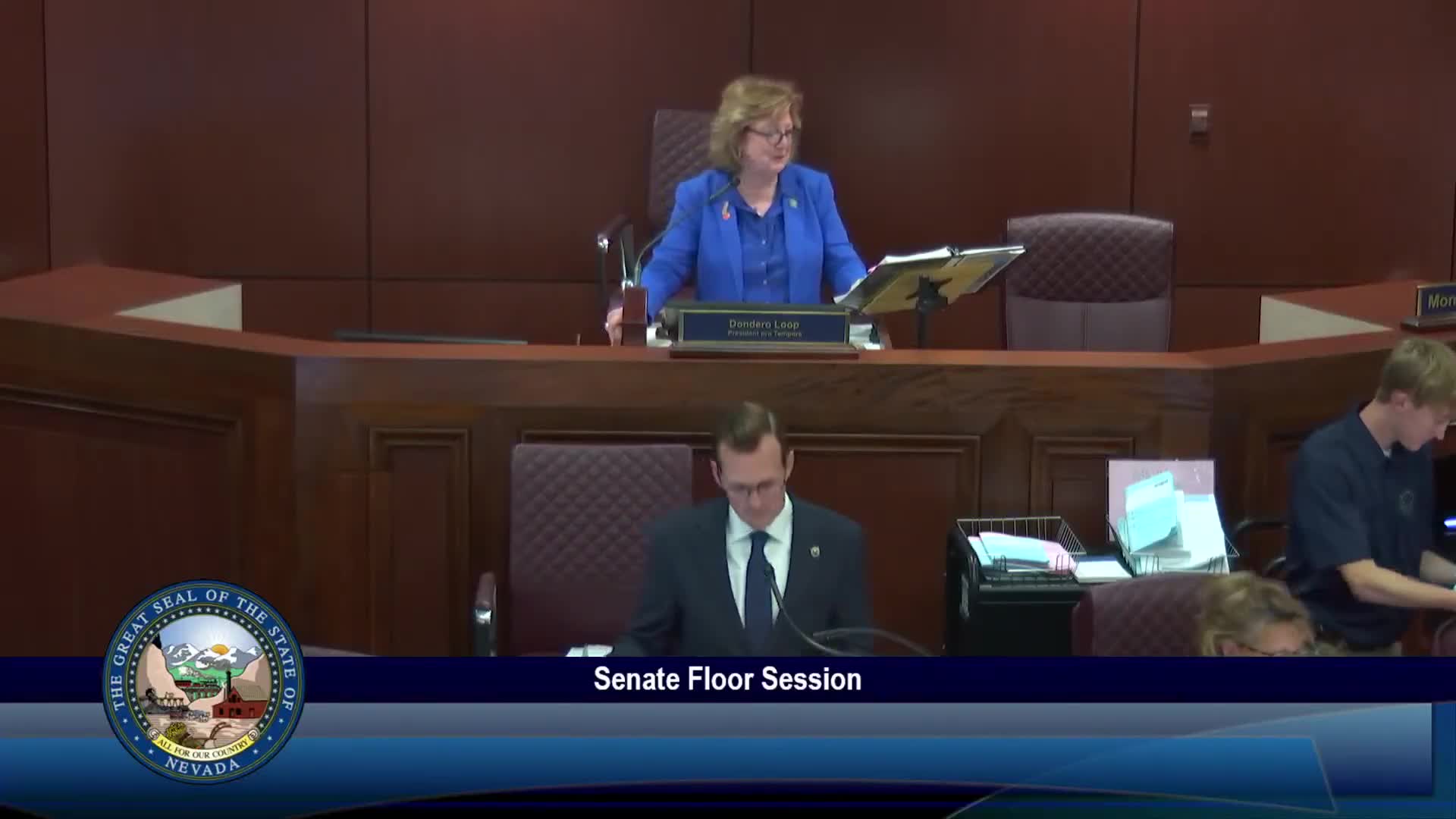 CitizenPortal.ai - Nevada Senate clears multiple bills, adopts employee ...