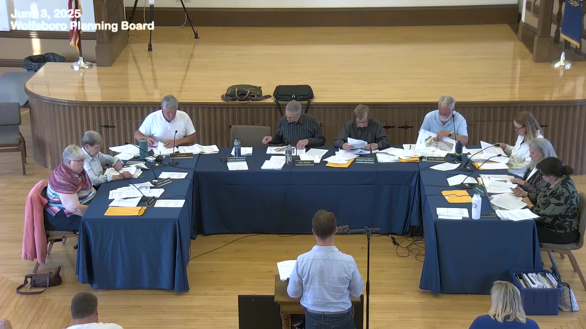 CitizenPortal.ai - Naomi Cottrell presents landscape plan for South ...