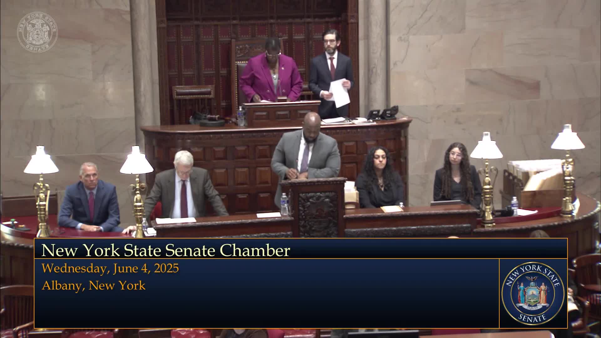 CitizenPortal.ai - New York Senate passes multiple bills including public health and education ...