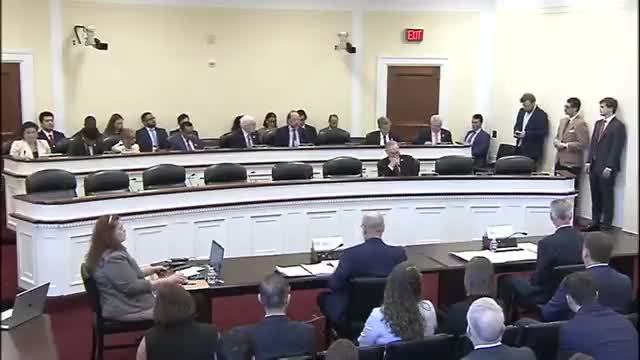CitizenPortal.ai - Congressional panel addresses significant fraud ...