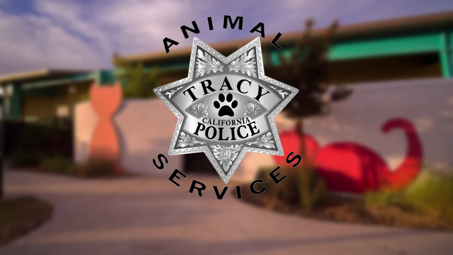 CitizenPortal.ai - Tracy Animal Shelter showcases adoptable pets ...