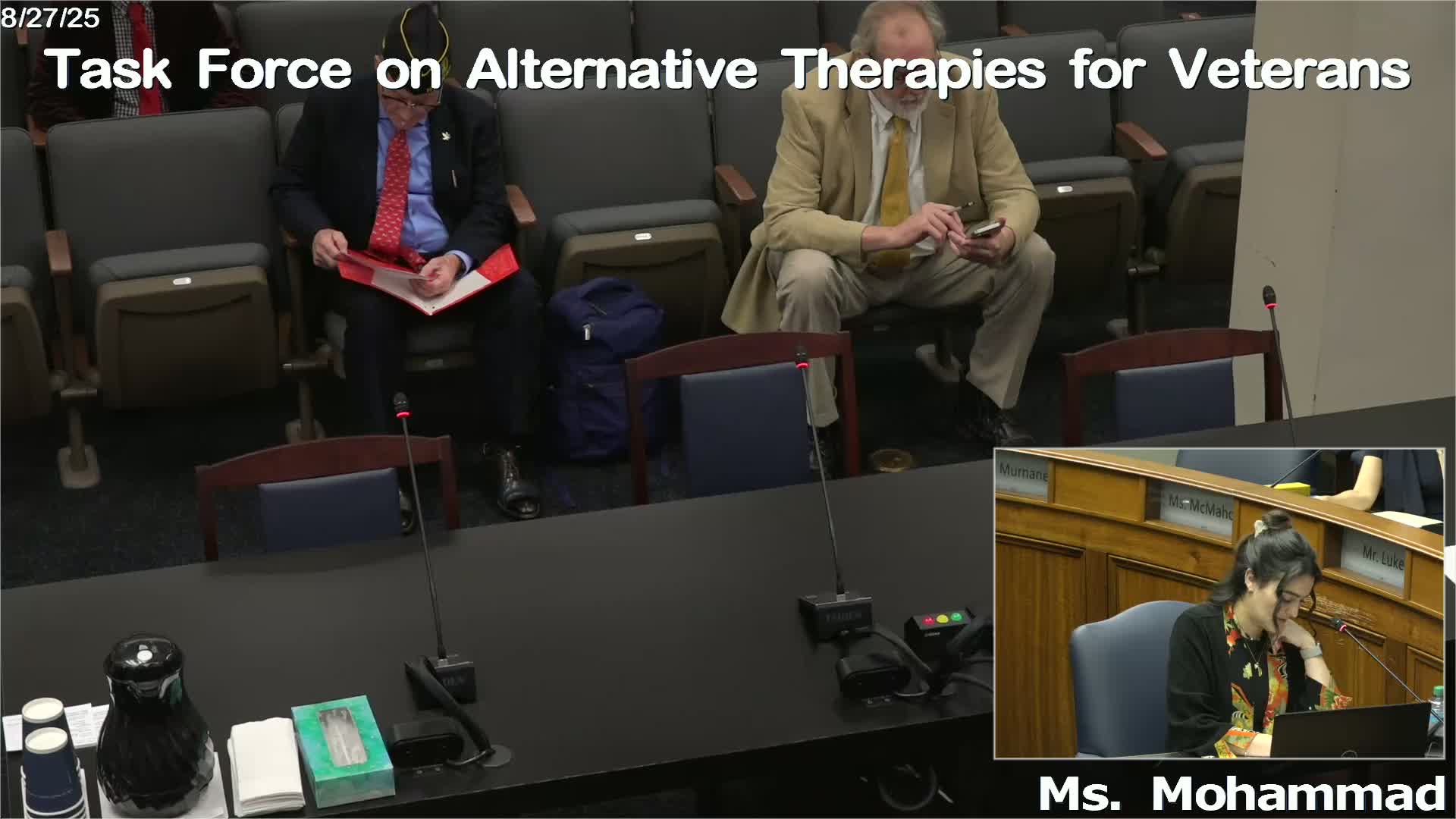 CitizenPortal.ai - Veterans Task Force Explores Alternative Therapies ...