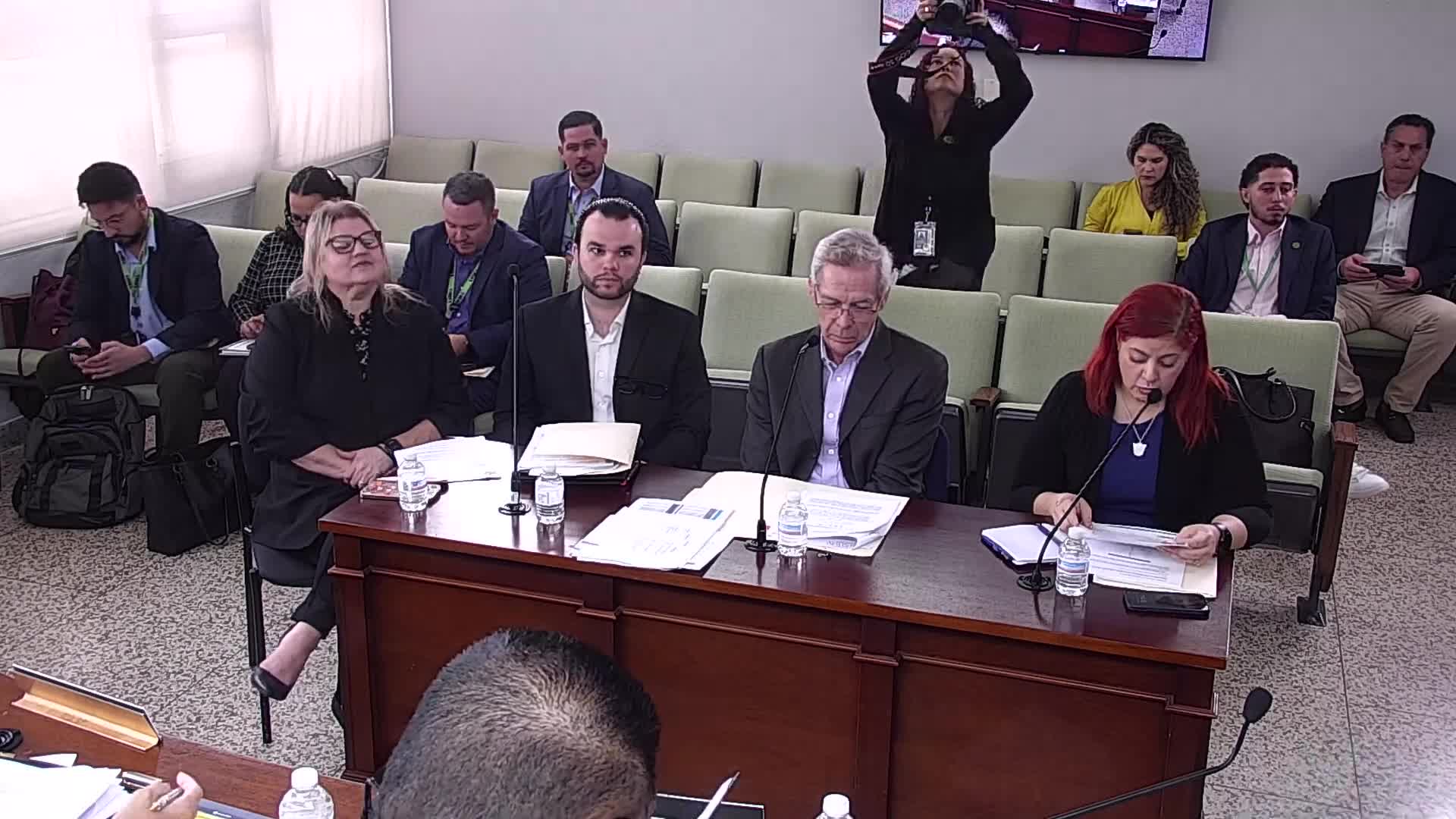 CitizenPortal.ai - Luma Energy outlines plans for critical ...