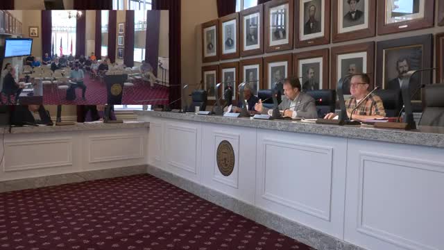 CitizenPortal.ai - Madison approves $35,500 smoke‑testing task order to ...