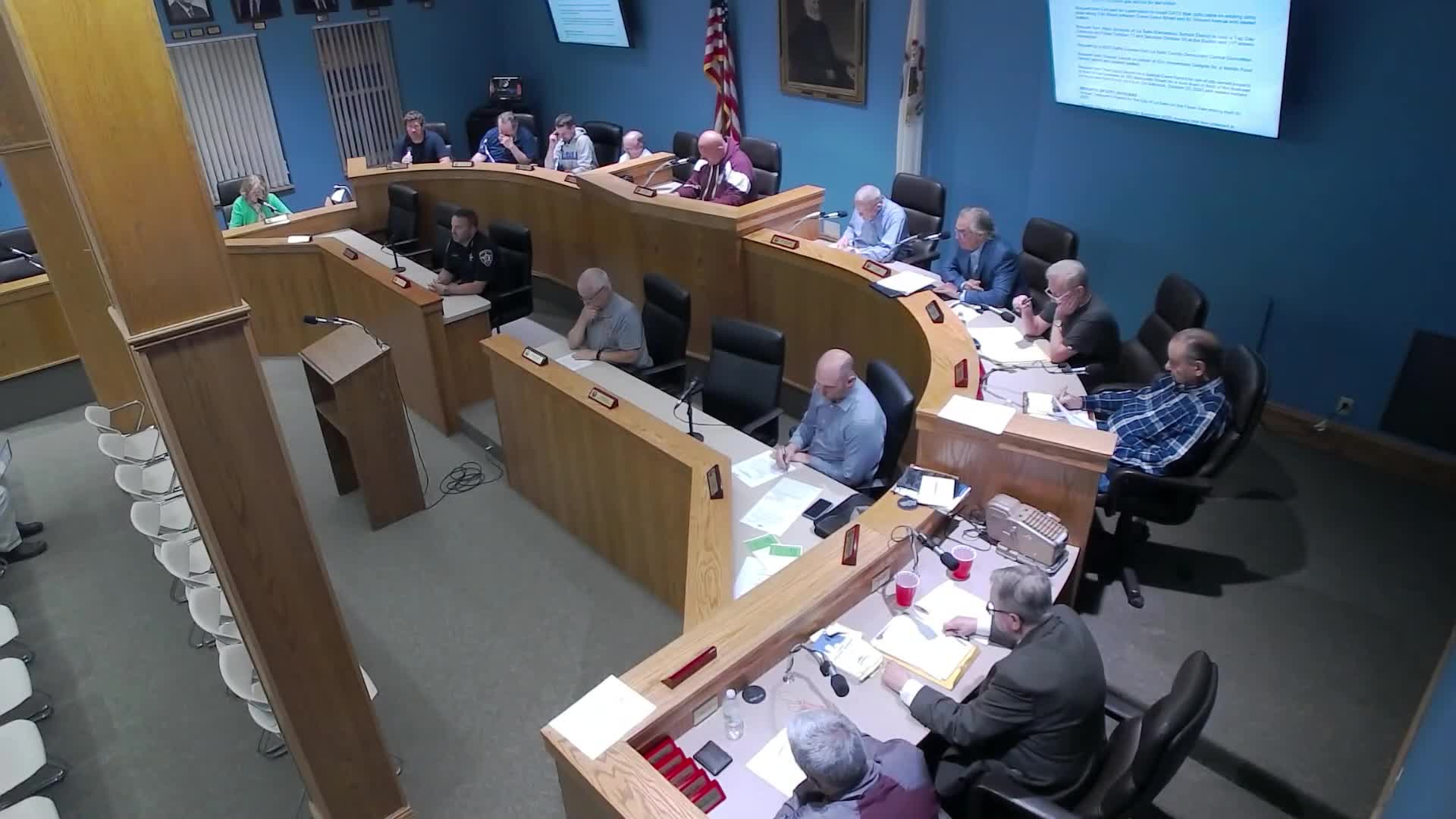 CitizenPortal.ai - Council approves routine permits, licenses, reports ...