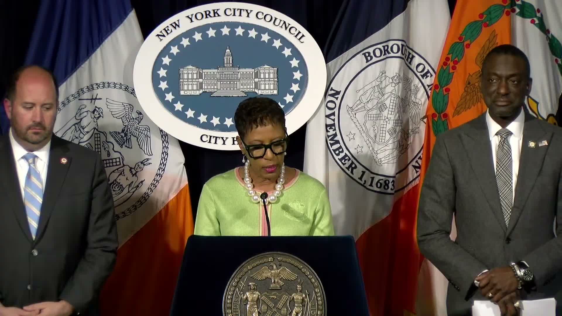 CitizenPortal.ai - Council member David Carr champions community‑board ...