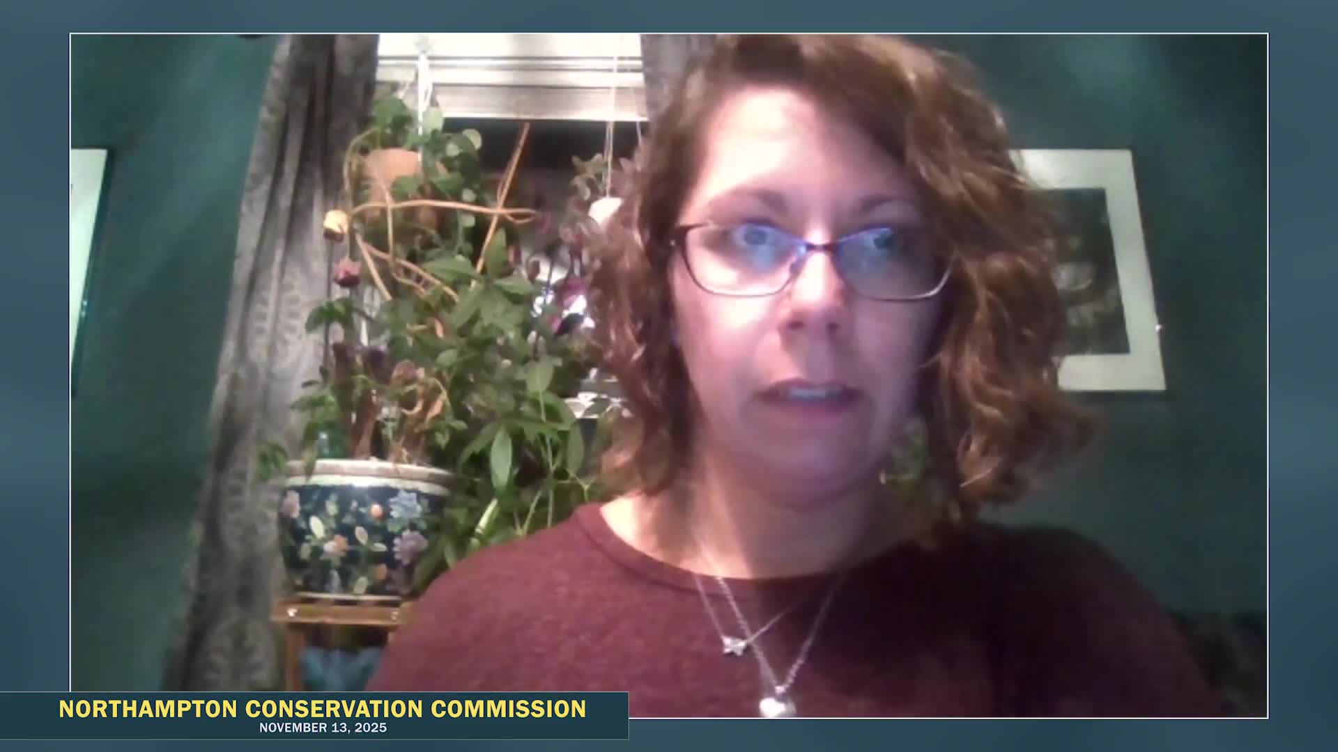 CitizenPortal.ai - Conservation commission approves negative ...