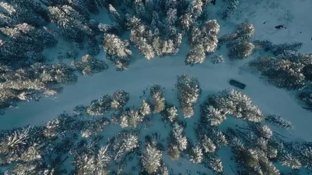 CitizenPortal.ai - Ineligible for coverage