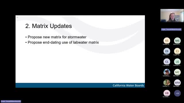 CitizenPortal.ai - Council proposes a separate 'stormwater' matrix and ...