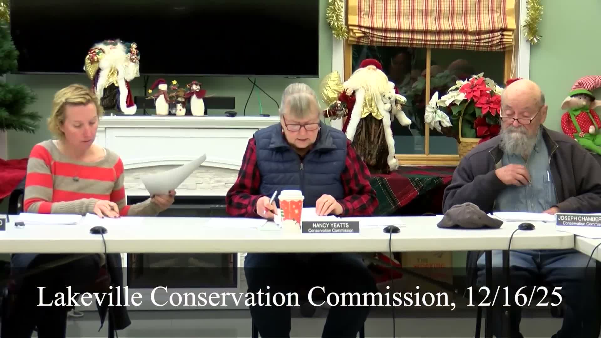 CitizenPortal.ai - Commission issues Negative 3 determination for 19 ...