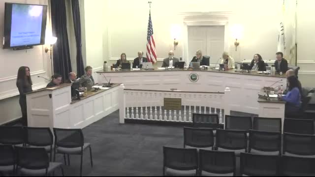 CitizenPortal.ai - Council holds public hearing on proposed 2025 ...